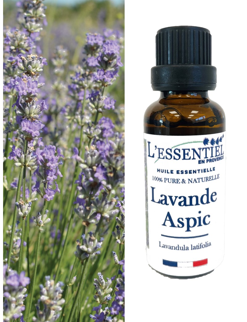 Huile essentielle de Lavande Aspic - L'essentiel en Provence