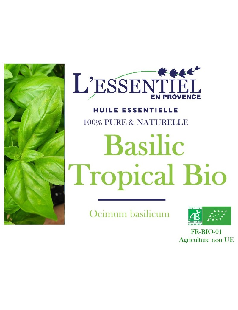 Huile essentielle Biologique de Basilic Tropical - L'essentiel en Provence