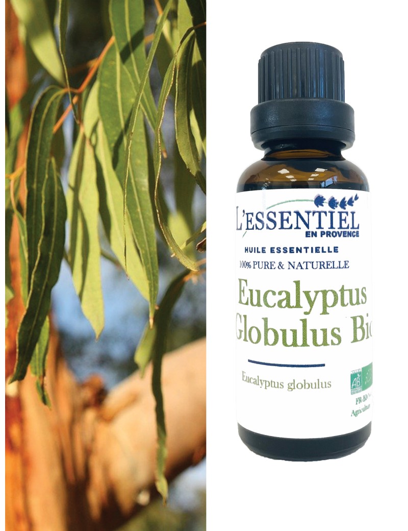Huile essentielle Biologique d'Eucalyptus Globulus - L'essentiel en Provence