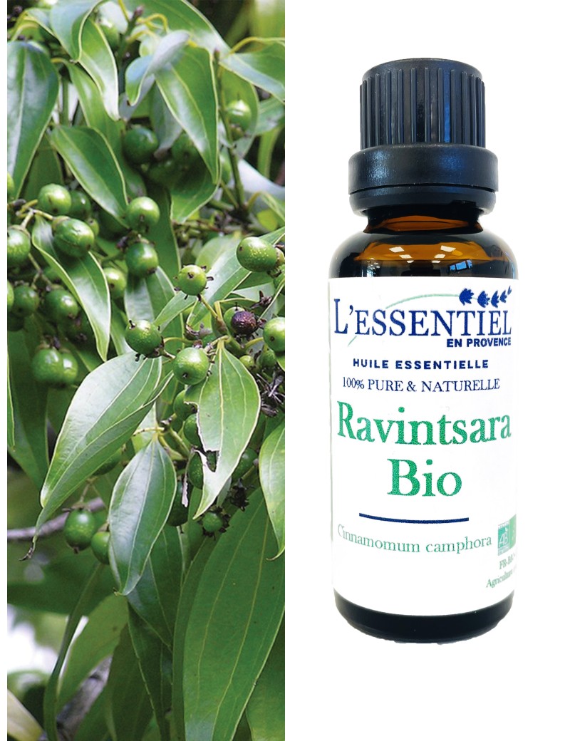 Huile essentielle Biologique de Ravintsara - L'essentiel en Provence