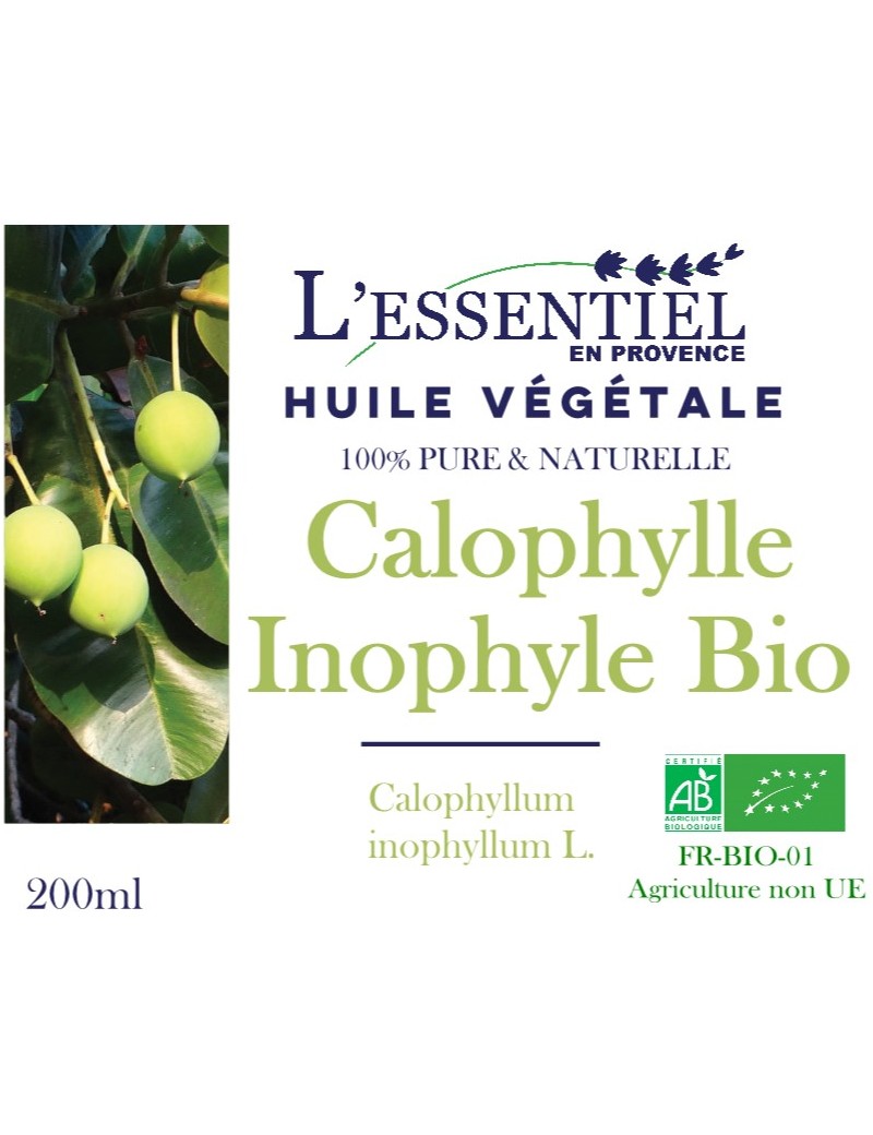 Huile végétale Biologique de Calophylle Inophyle - L'essentiel en Provence